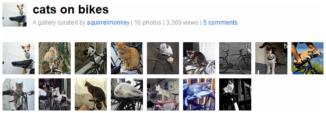 Flickr Galleries, now even bigger. | Flickr Blog