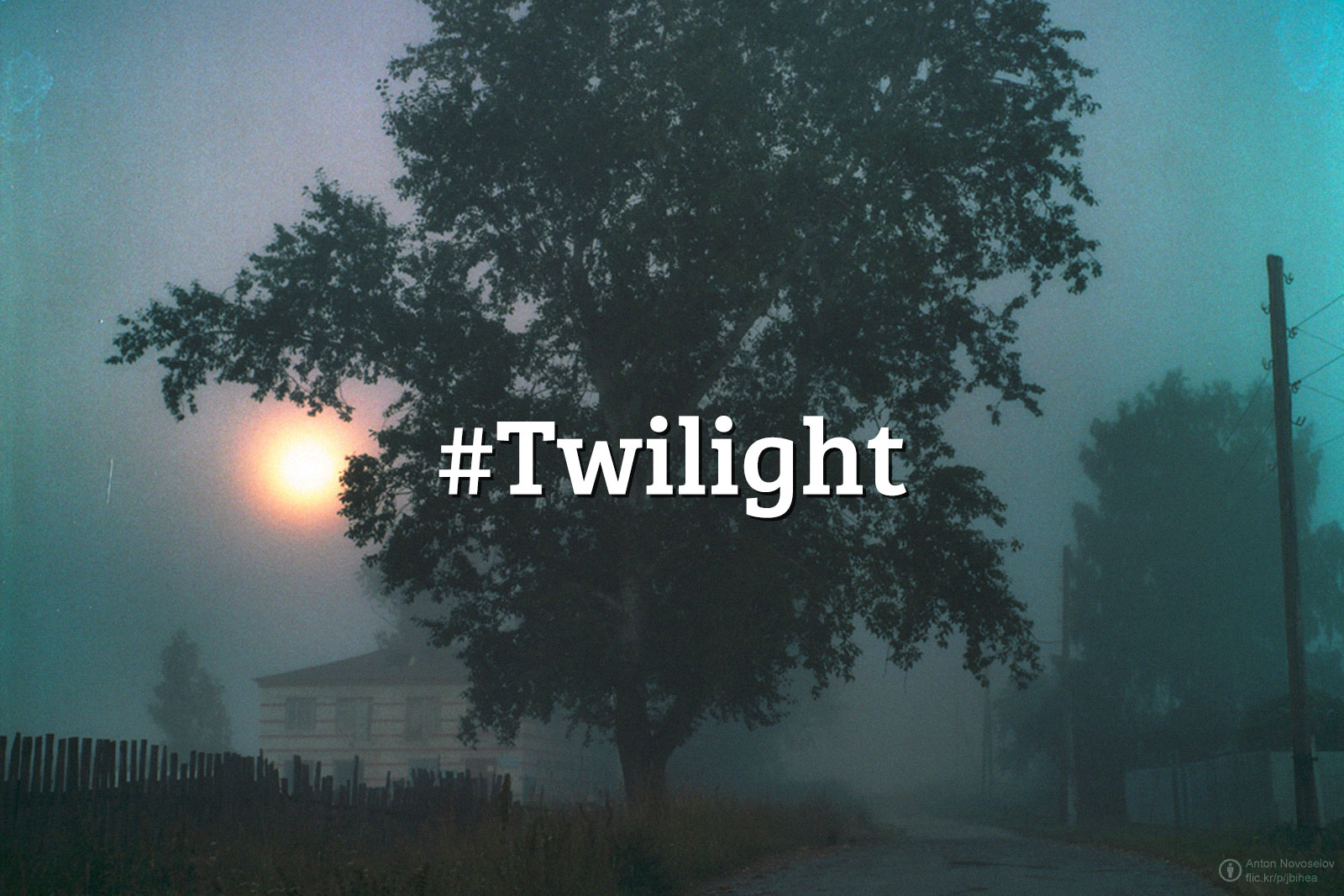 FlickrFriday: Twilight | Flickr Blog
