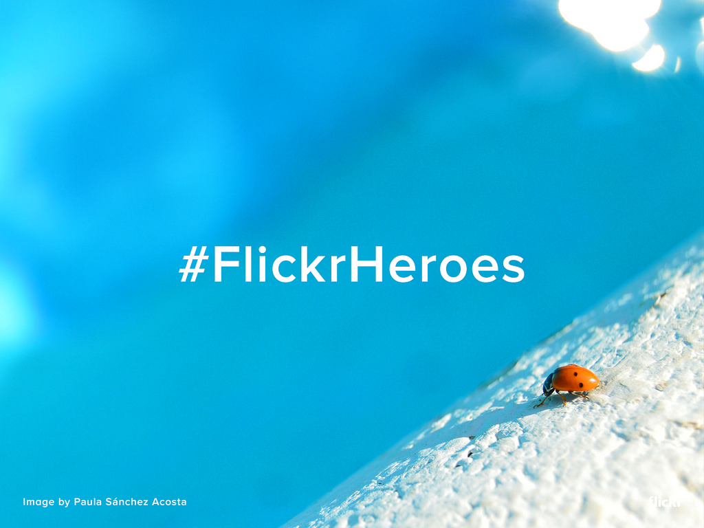 Flickr Heroes of the Week | Flickr Blog