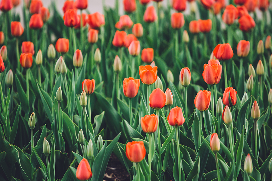 Flickr Heroes of the Week | Flickr Blog