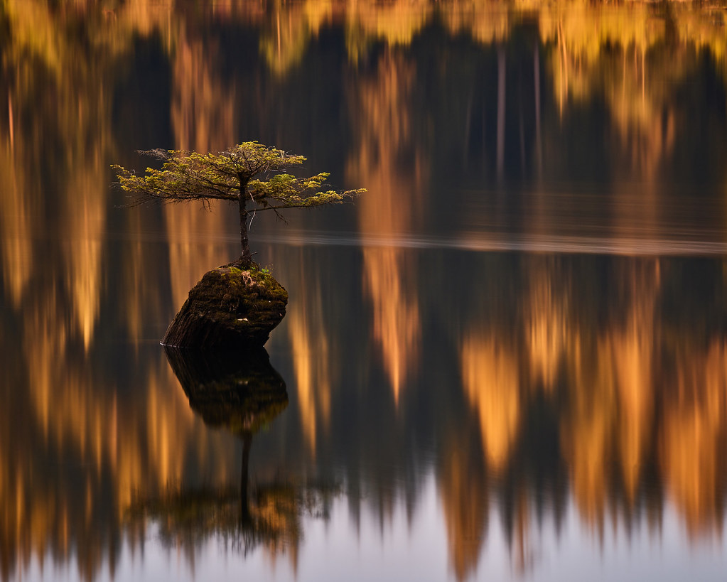 Birds of Costa Rica | Flickr Blog