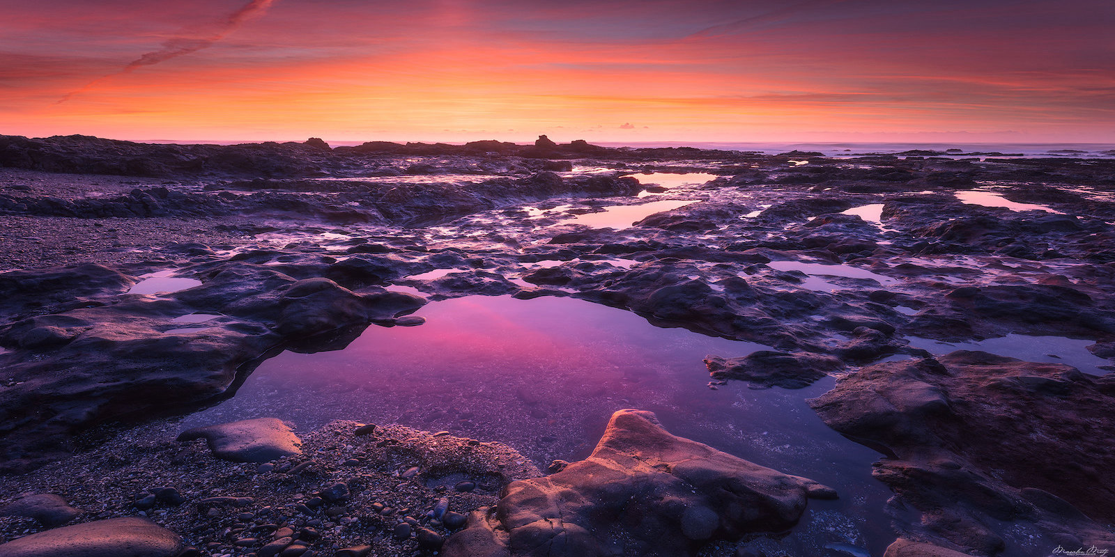 Flickr Blog | Page 28