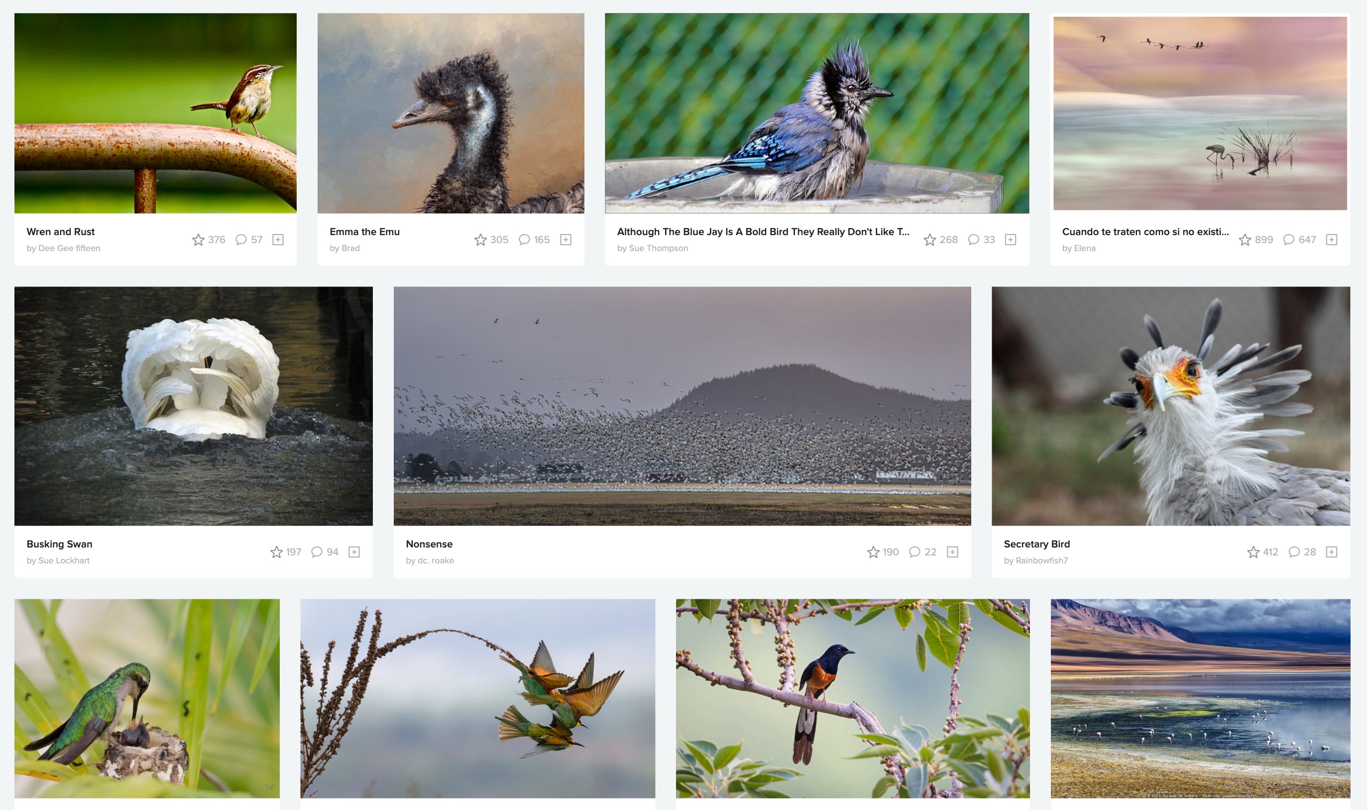 Get to know Flickr Galleries | Flickr Blog