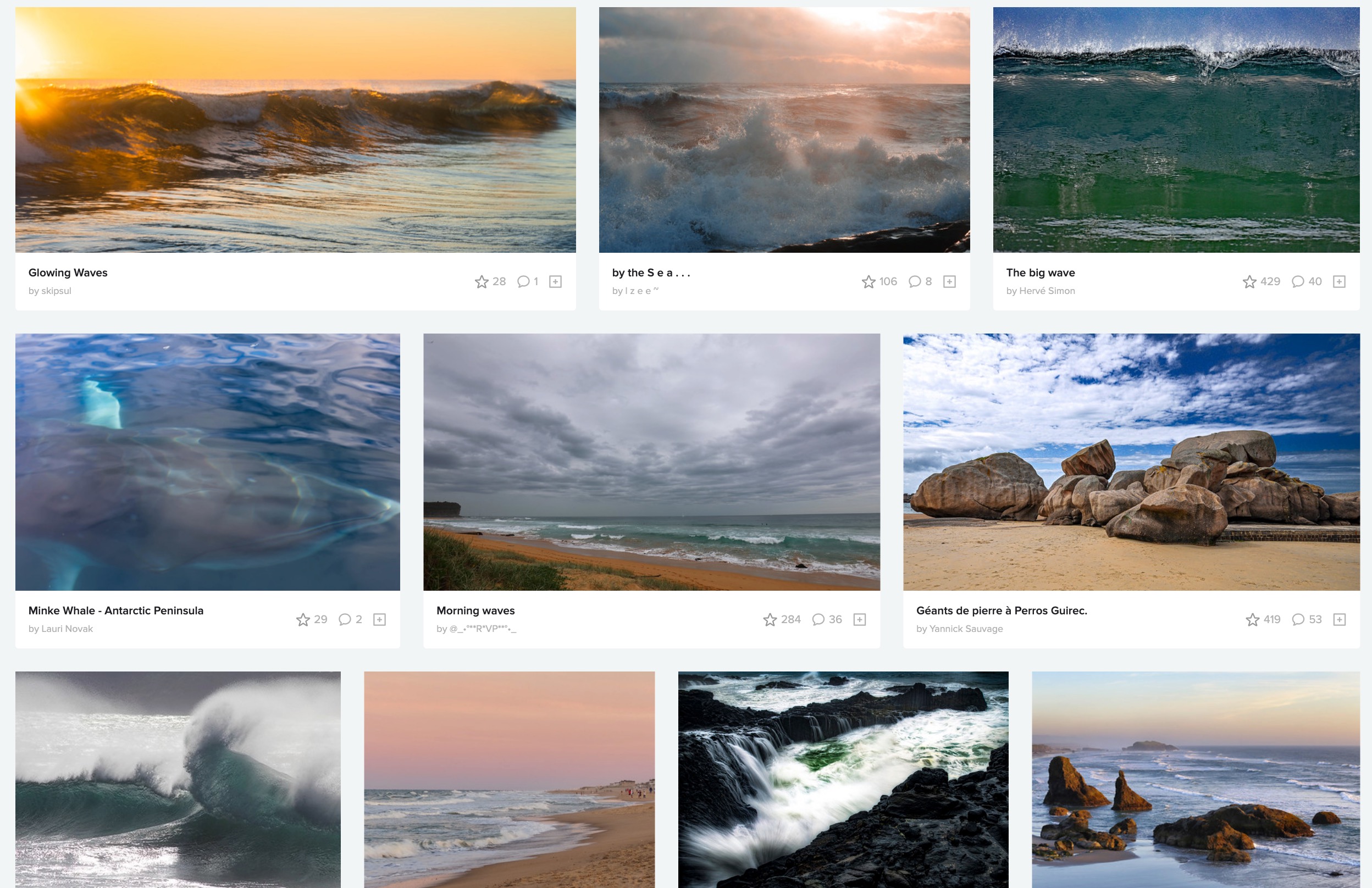 Get to know Flickr Galleries | Flickr Blog