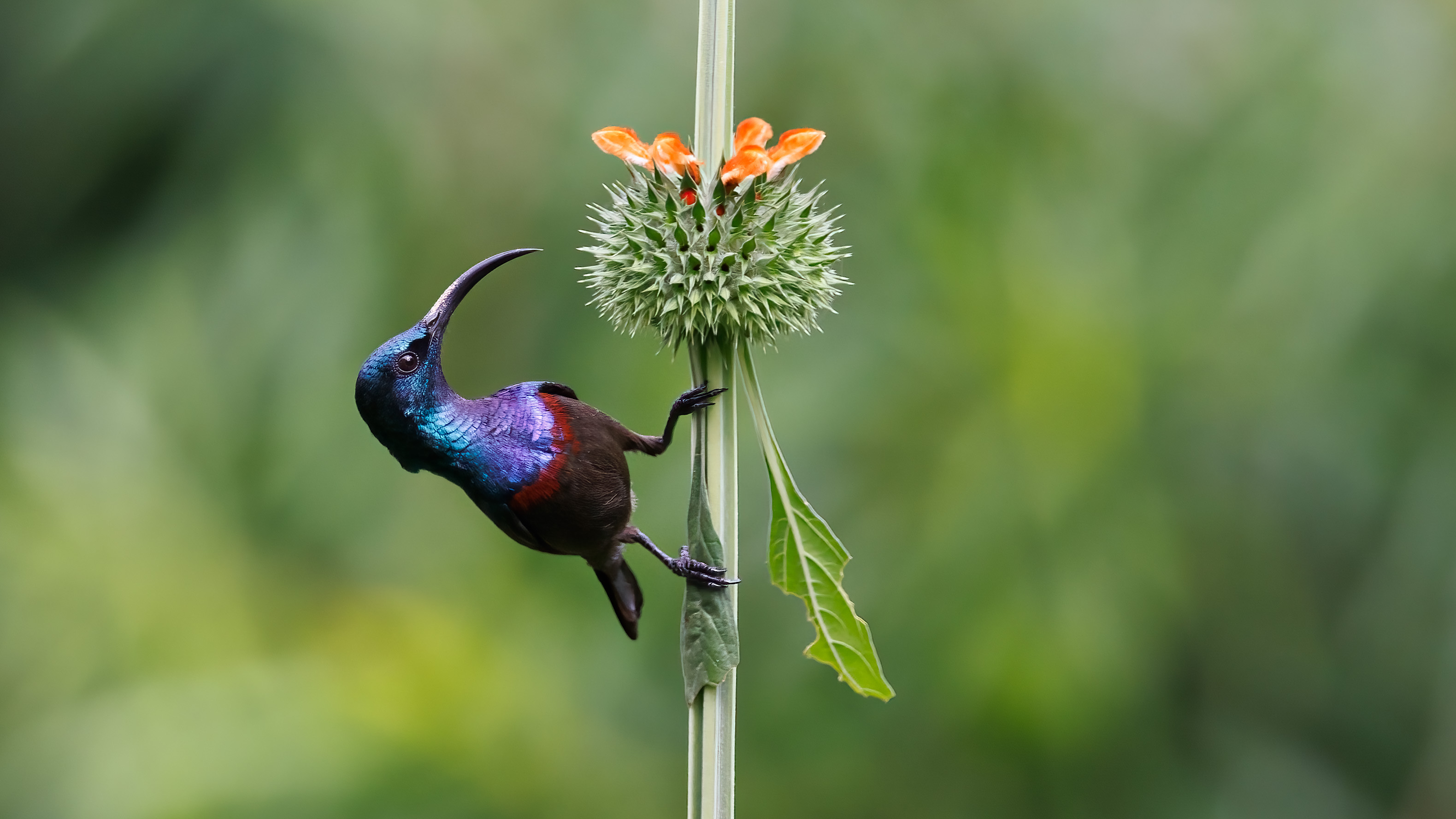 Flickr FAQs: Tagging, Searching, Trending, Repeat | Flickr Blog