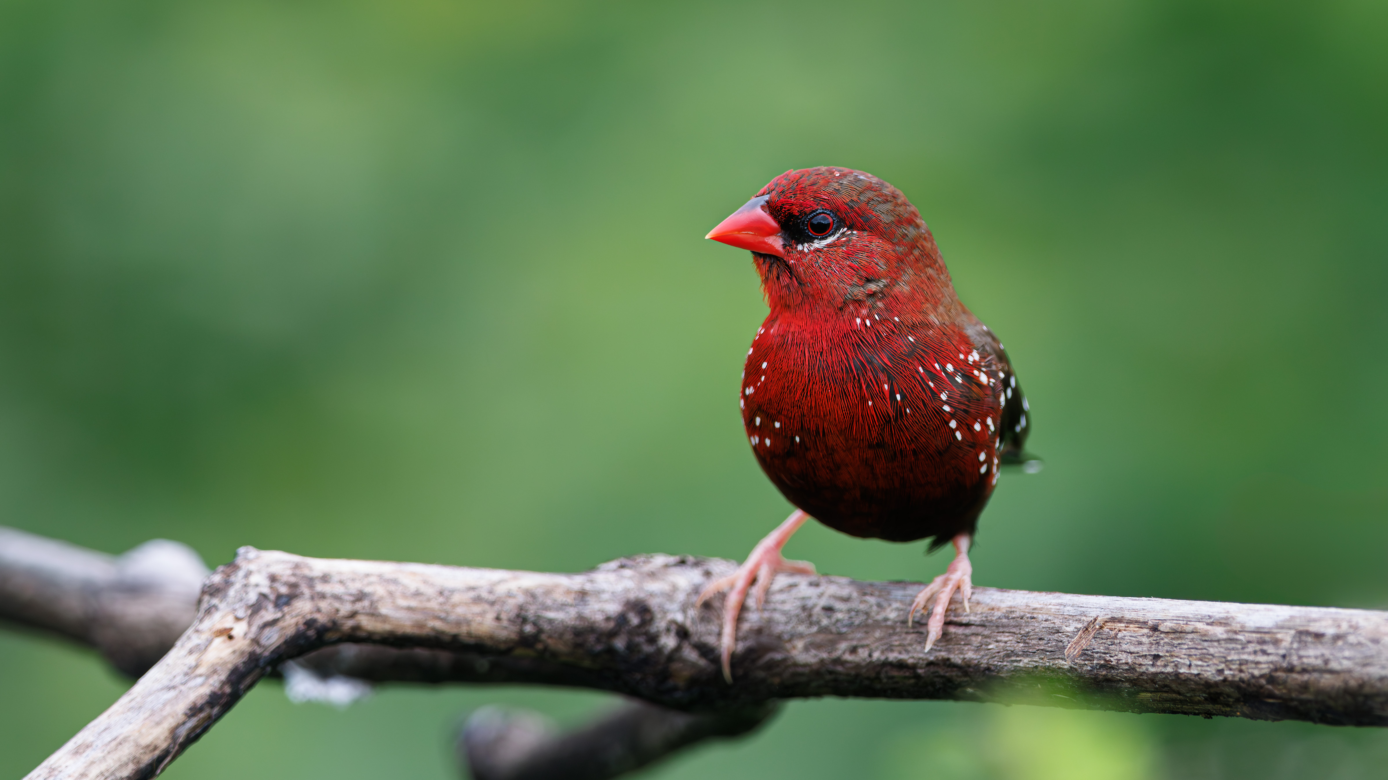 Flickr FAQs: Tagging, Searching, Trending, Repeat | Flickr Blog