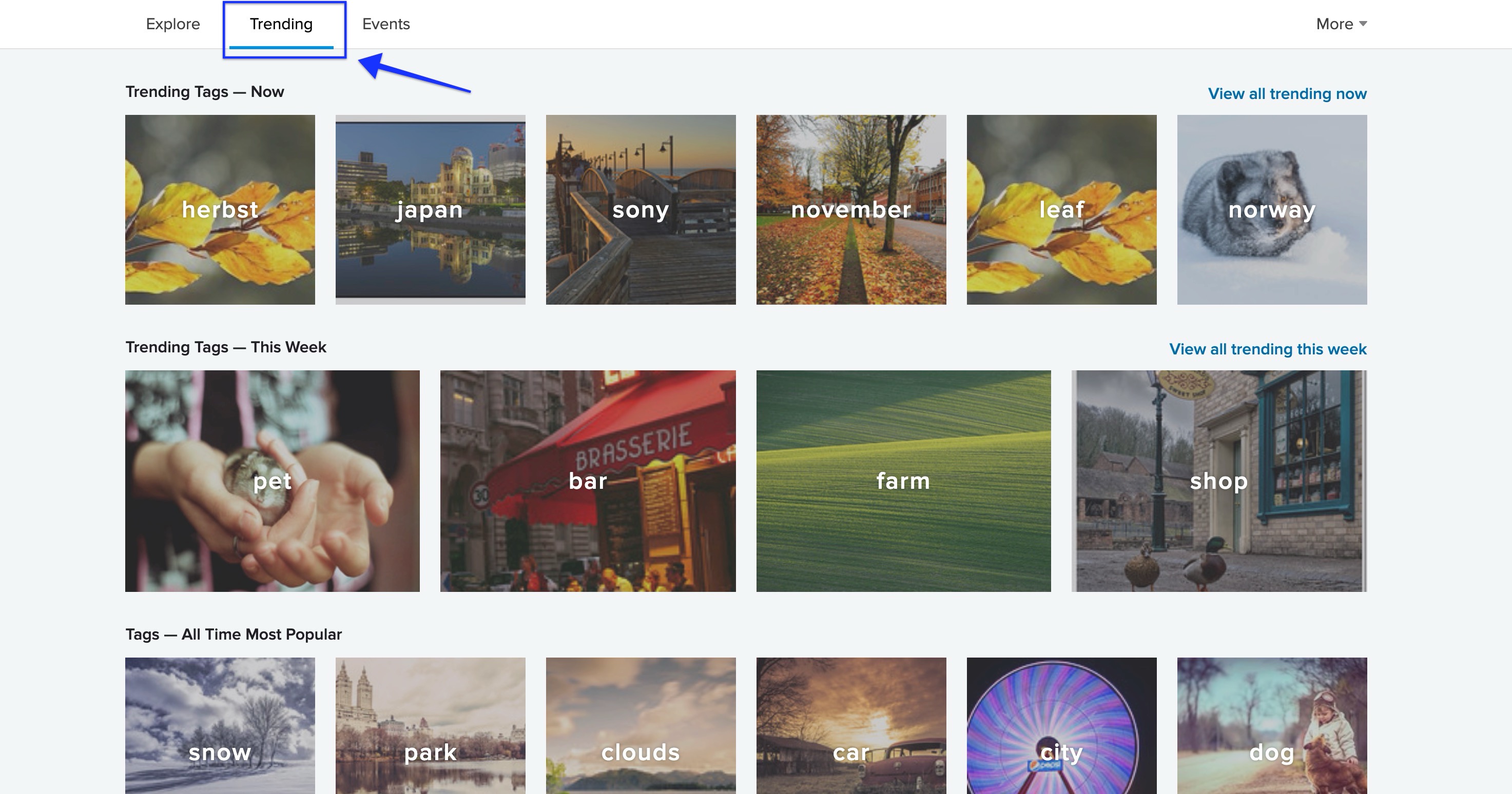 Flickr FAQs: Tagging, Searching, Trending, Repeat | Flickr Blog