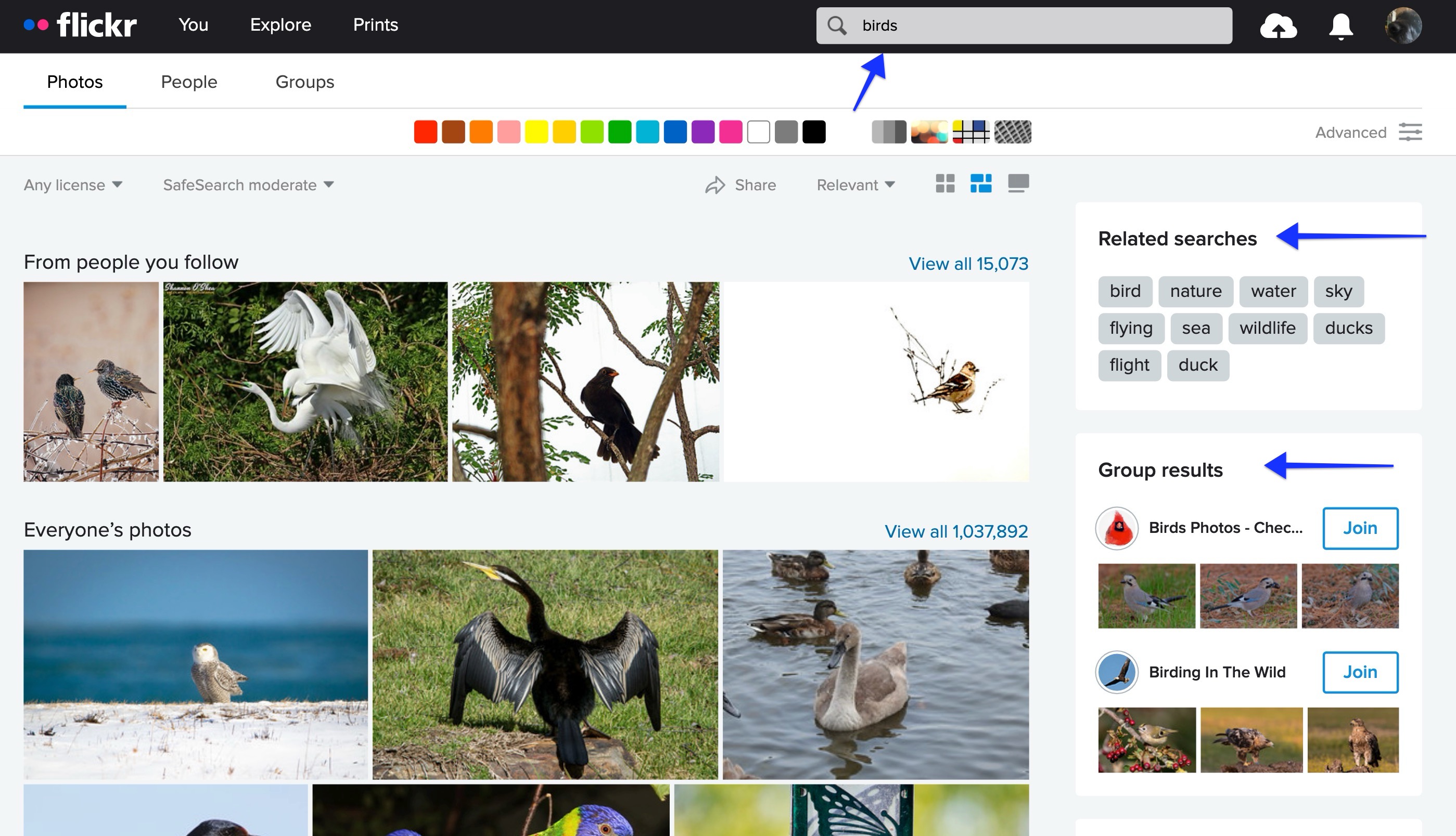 Flickr FAQs: Tagging, Searching, Trending, Repeat | Flickr Blog