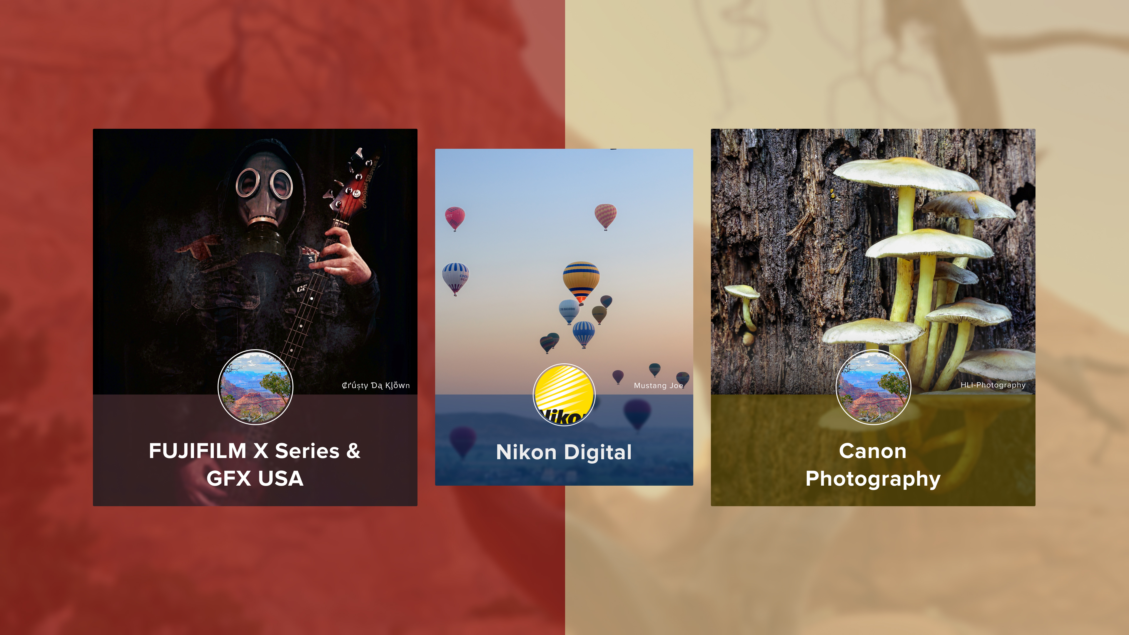 From Views to Community – Meet Flickr groups that elevate engagement ...