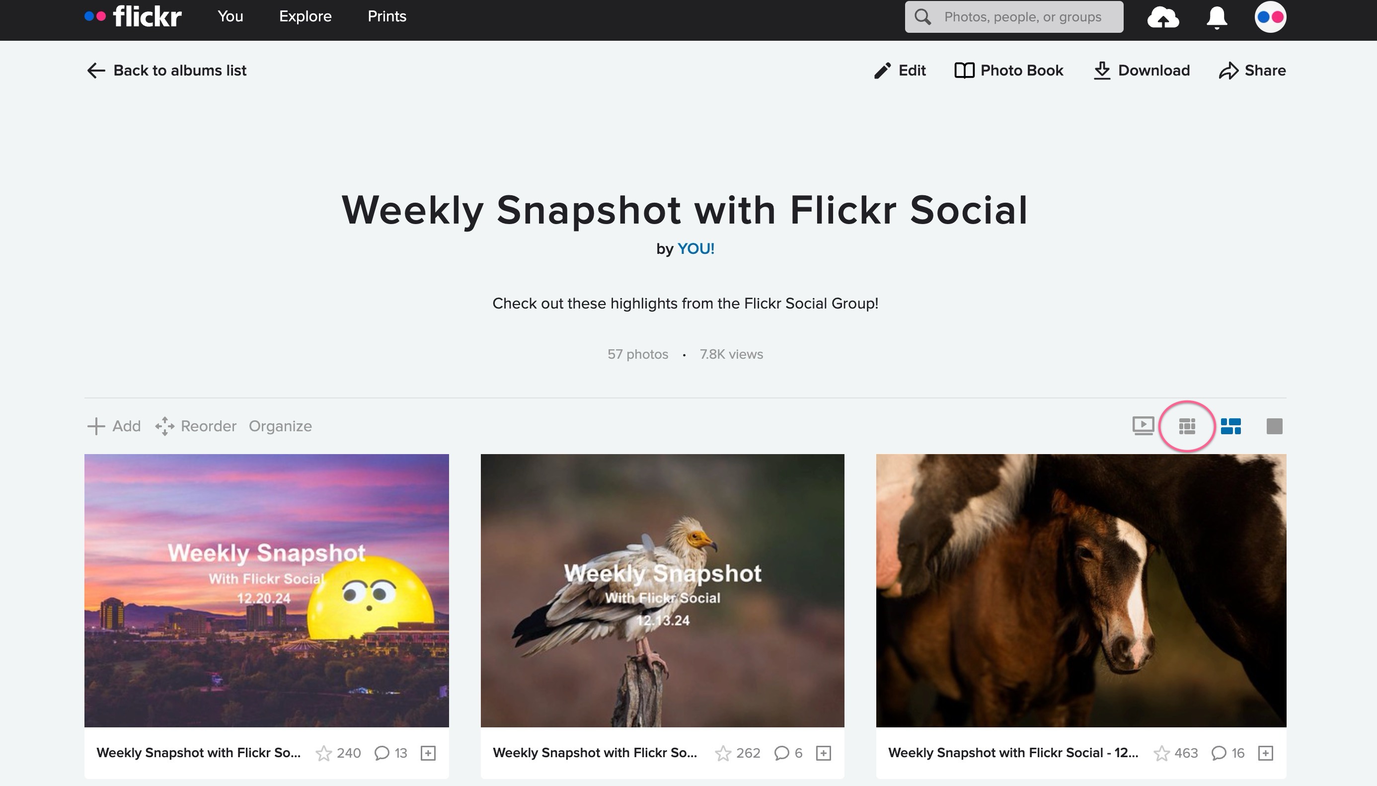 ICYMI: Flickr News and Updates December 2024 | Flickr Blog