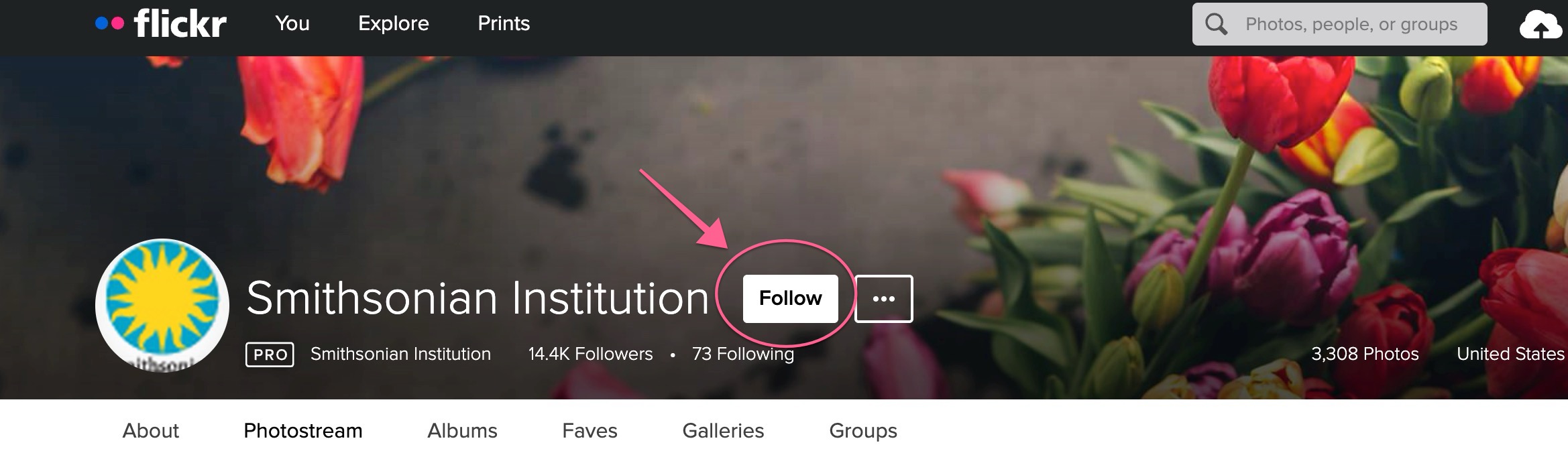 Artistry Over Algorithms | Flickr Blog