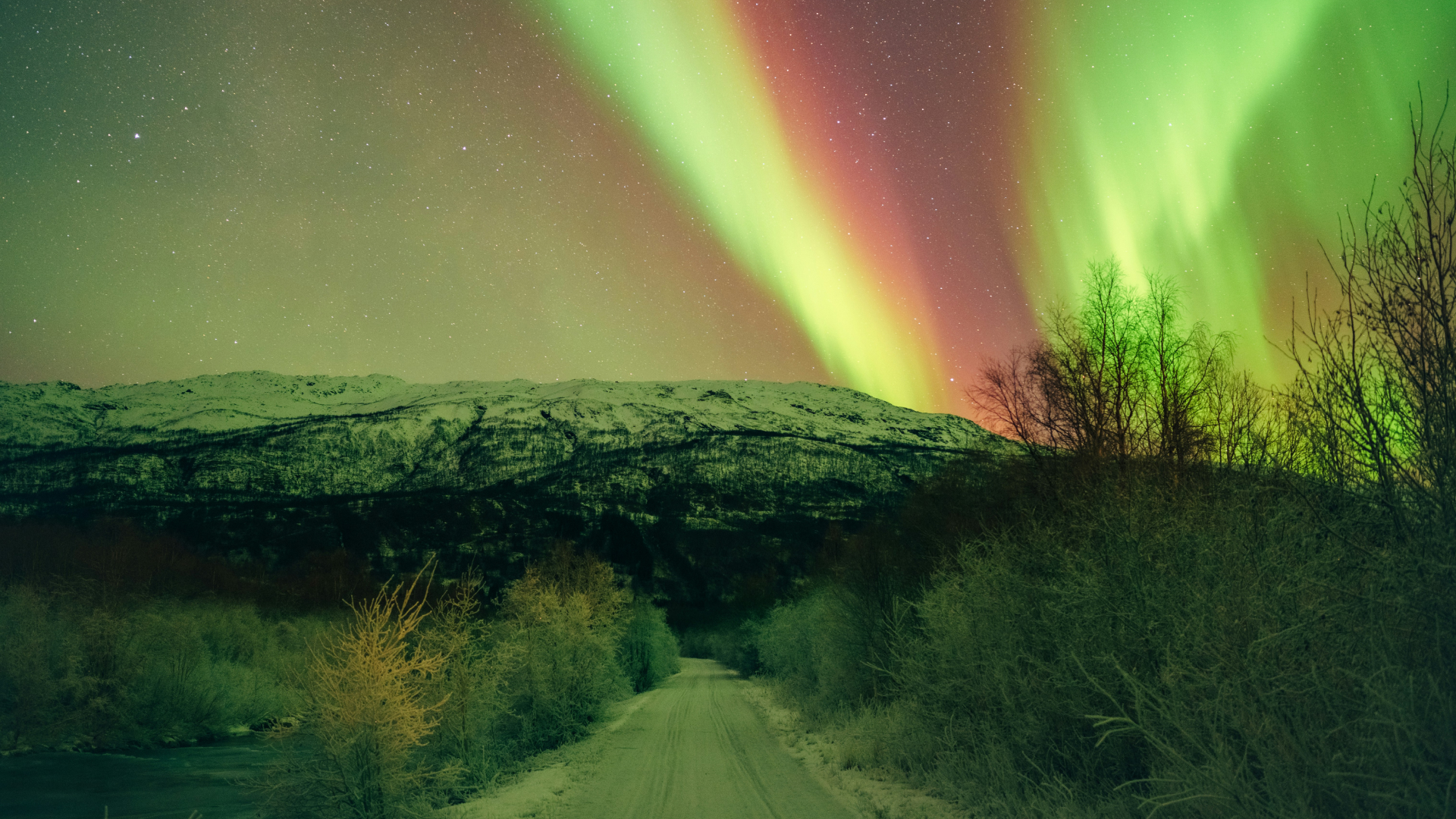 Take the Scenic Route: World Photography Day with Flickr x Oboz ...