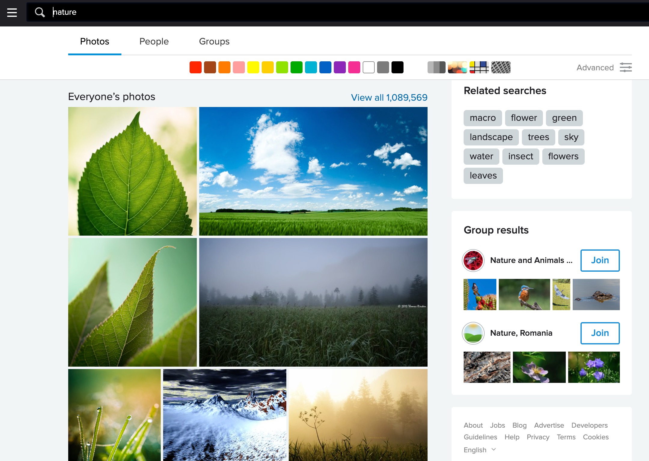 Flickr Fundamentals: Improve your Flickr Searches | Flickr Blog