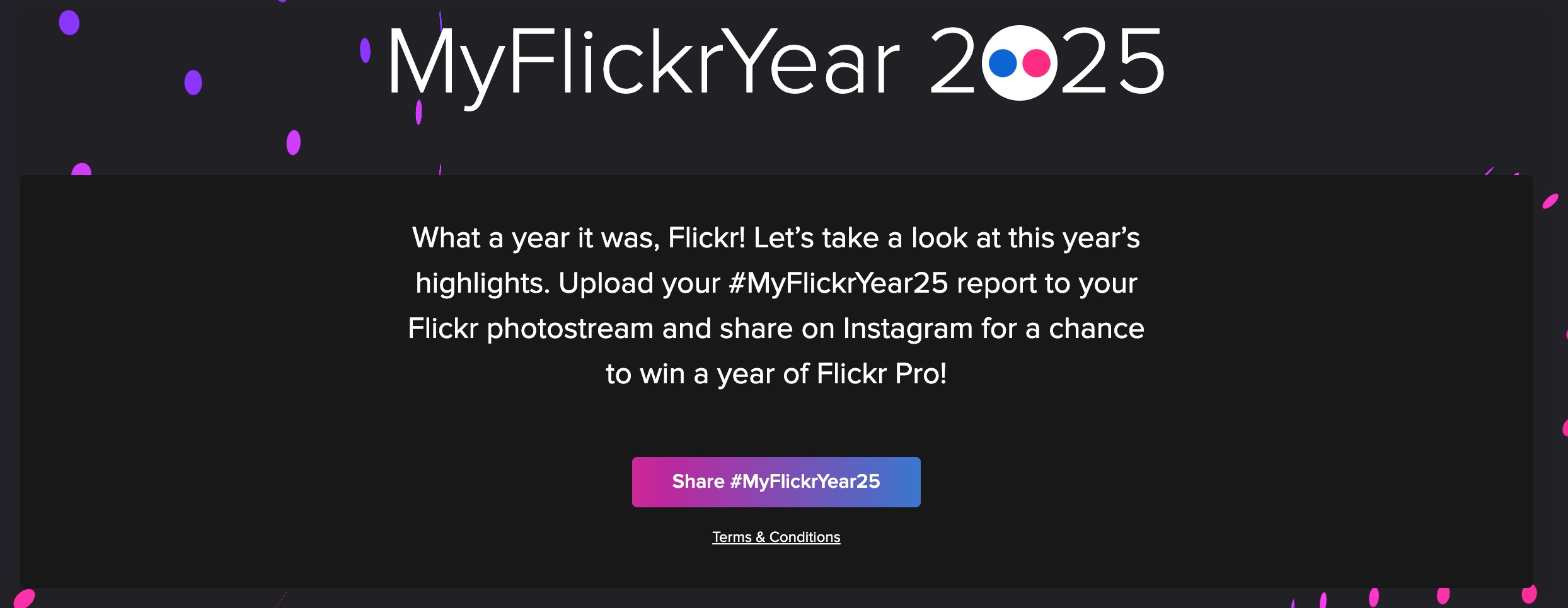 Your MyFlickrYear 2025 wrap-up is here: let’s get into it! | Flickr Blog